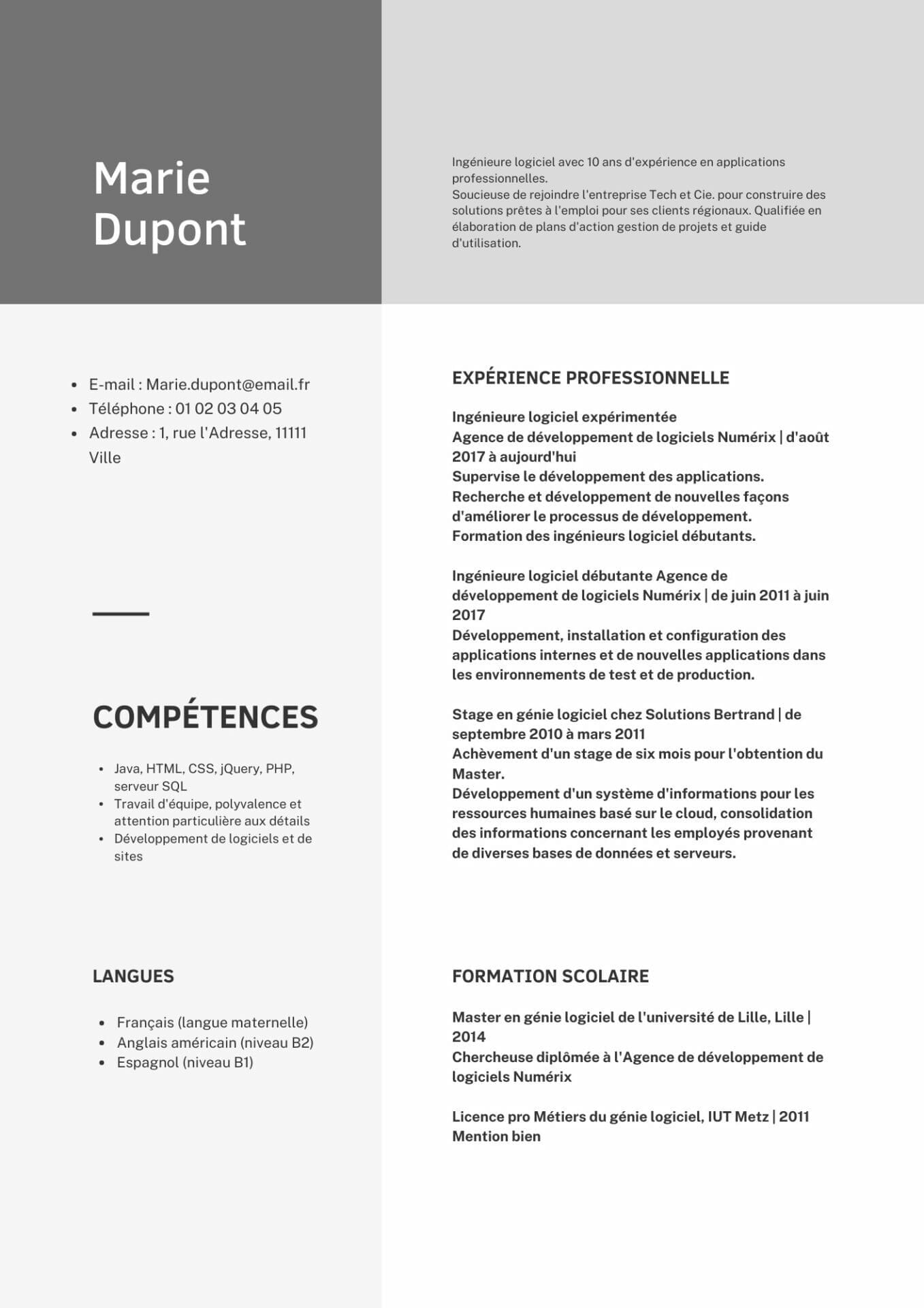 CV Cadre à Télécharger - 100% Gratuit - Format Word