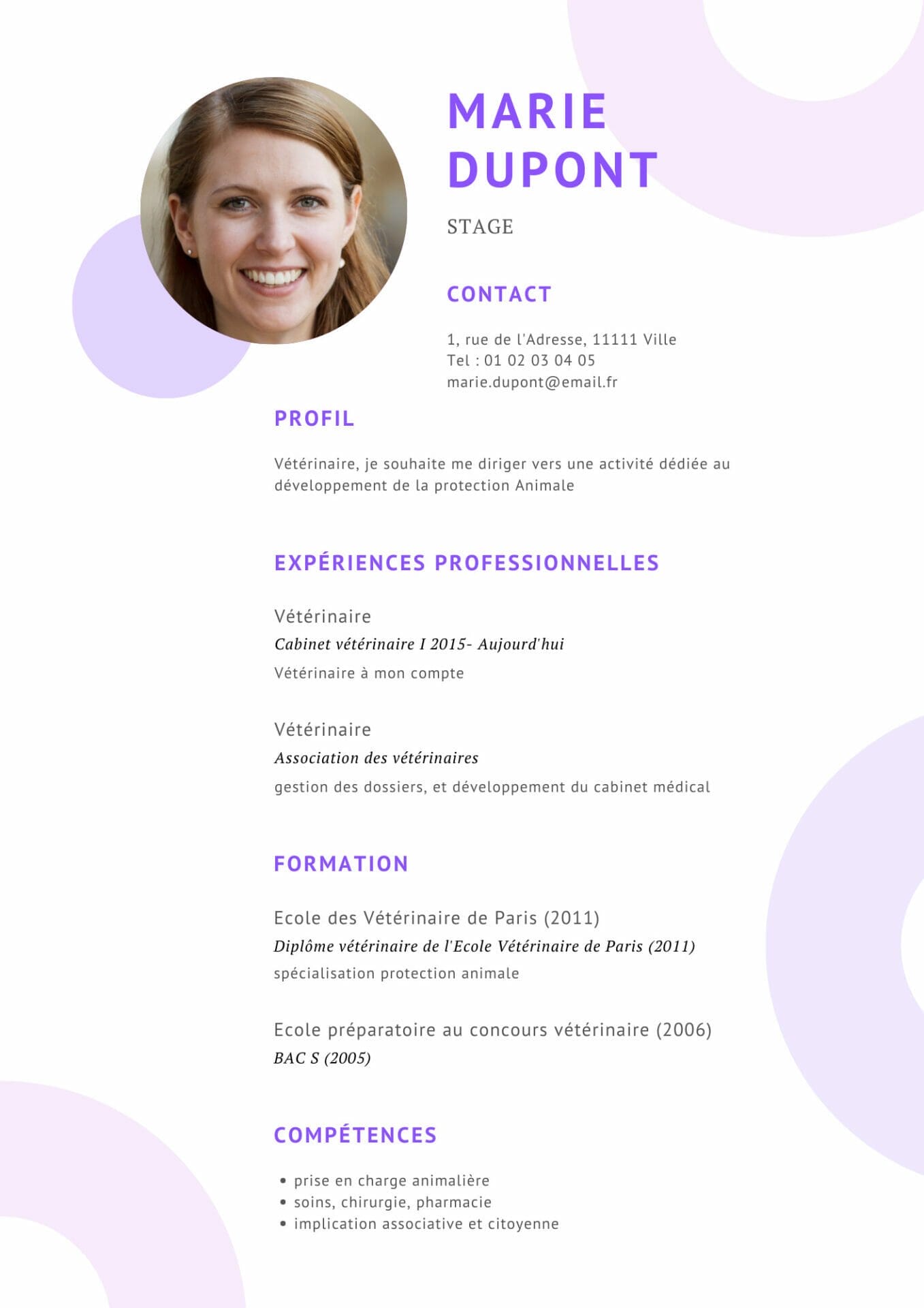 CV Pour Stage à Télécharger - 100% Gratuit - Format Word